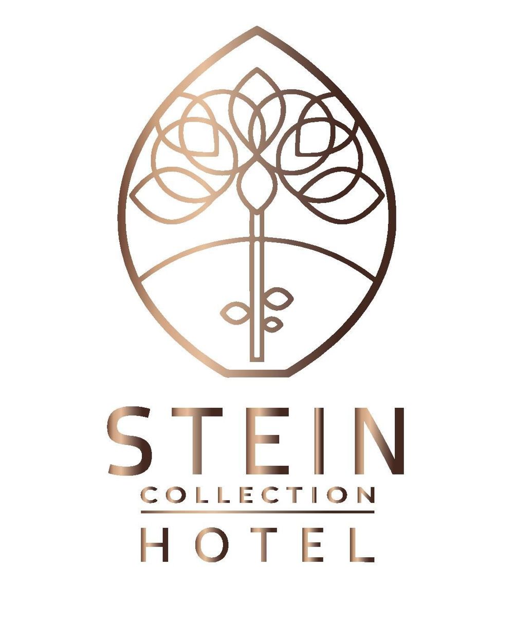 Stein Collection - eduJOBS